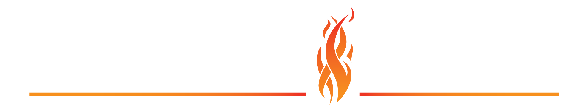 Platinum Ignition System