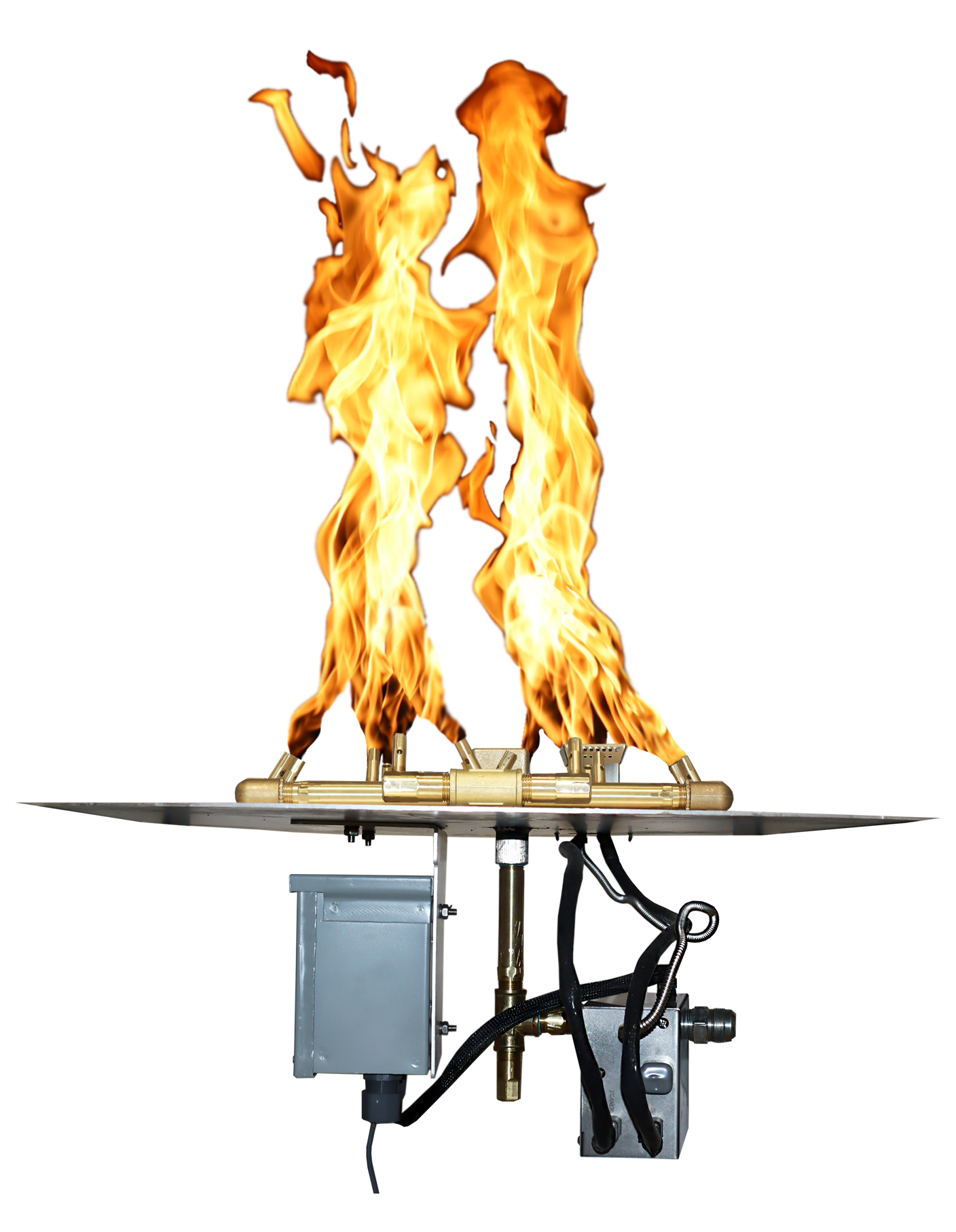 Platinum Ignition System